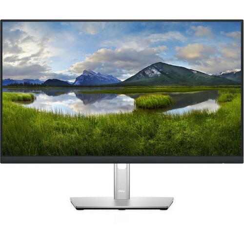 DELL P2422H Professional IPS
