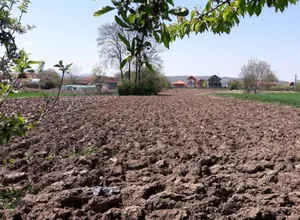 Prodaja Kuća - Jagodina, Kočino Selo