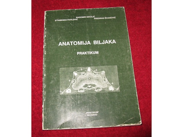 ANATOMIJA BILJAKA - PRAKTIKUM