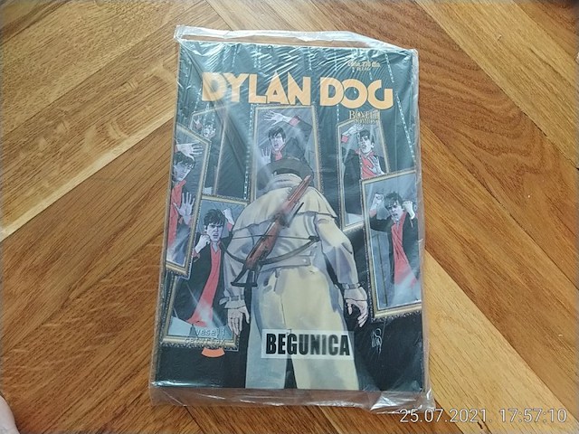 DYILAN DOG 111, BEGUNICA