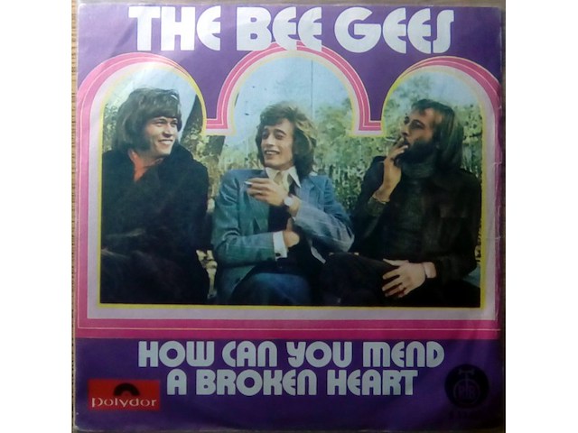 SS Bee Gees - How Can You Mend A Broken Heart