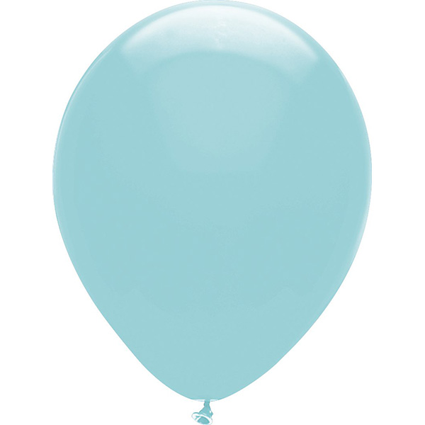 19353
5″ Latex Aquamarine Pastel (10)