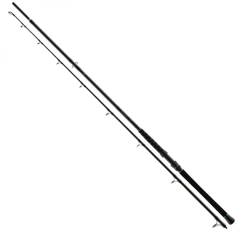 Daiwa POWERMESH CATFISH SPIN 2.45m 190g