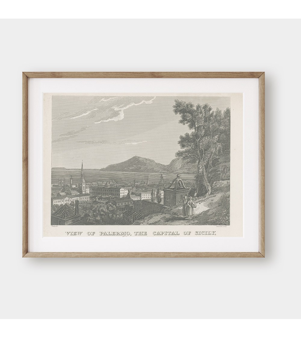 PALERMO ŽIKLE PRINT REPRODUKCIJA (ART. P-5338)