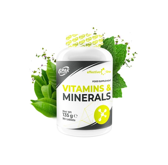 6PAK vitamins & minerals (90 tableta)