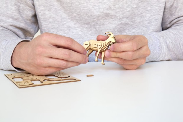 3D drvene puzle-koza