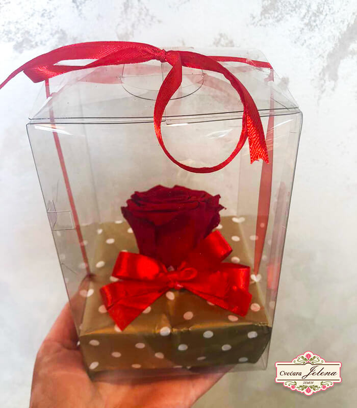 Dehidrirana ruža u kutiji – Crvena