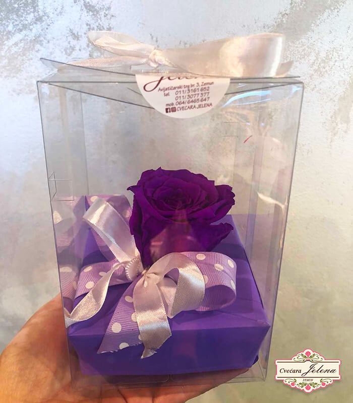 Dehidrirana ruža u kutiji – Ljubičasta
