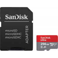 SD Card 256 GB SanDisk SDSQUA4-256G-GN6MA