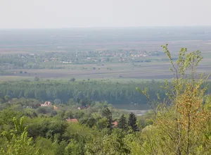 Prodaja Plac - Inđija, Stari Slankamen