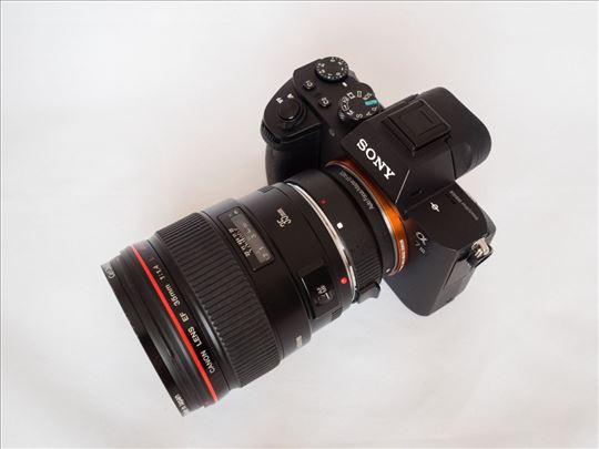 Sony A7 mark III + Sigma MC-11 + Canon 35mm 1.4 L