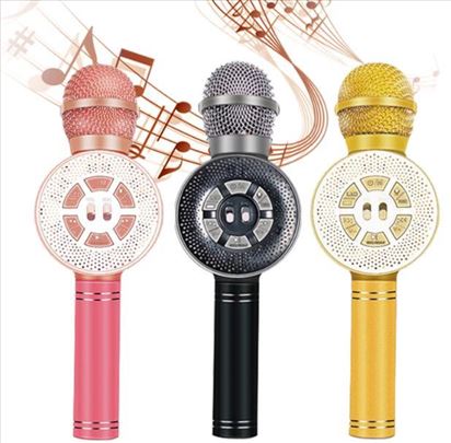 Karaoke mikrofon WS-669