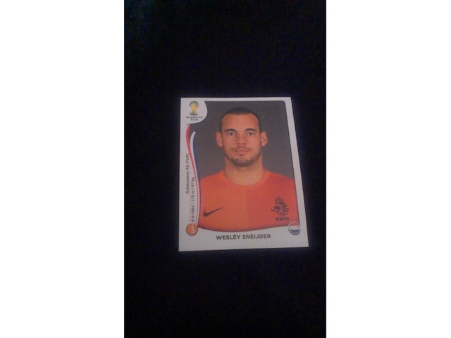 Panini FIFA 2014 Brazil sličica broj 139