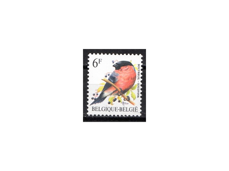 PTICE - BELGIJA