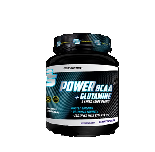 Pansport power BCAA + glutamine (500 g)