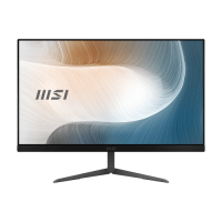 MSI AM241 11M-012EU