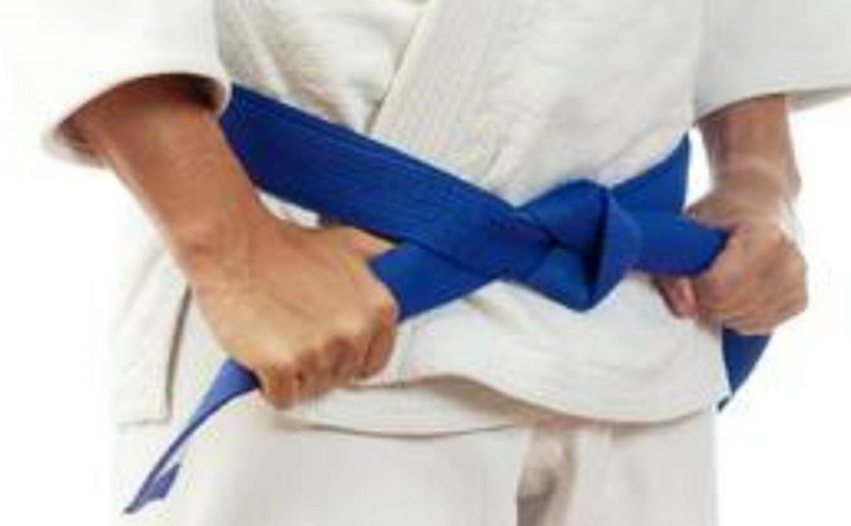 Plavi pojas za karate dzudo aikido tekwondo 500 din Promise