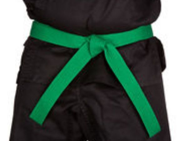 Zeleni pojas za karate dzudo nindjucu aikido 500 din Promise
