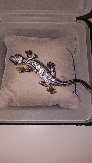 Nov veći broš u obliku salamandera