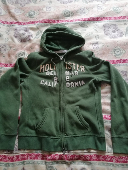 Hollister duks