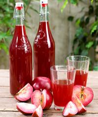 Sadnice jestivih jabuka crvenog mesa Baya Marisa i Wein ruge