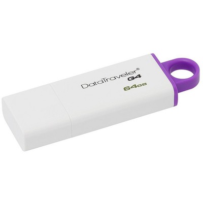 Kingston DTIG4/64GB