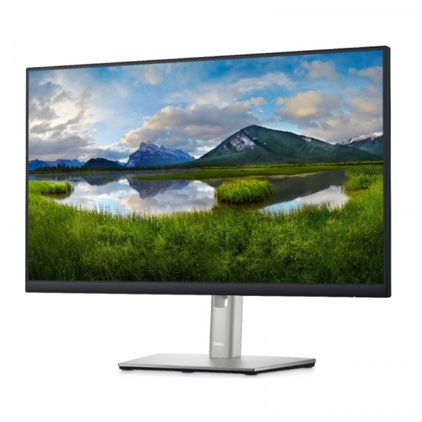 Dell 23.8" P2422H Professional IPS monitor