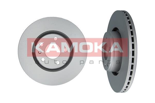 Prednji diskovi kočnica 1031019 - Audi A6 04-11