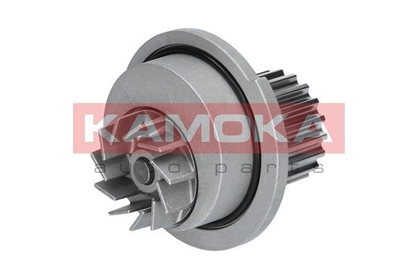 Pumpa za vodu T0066 - Chevrolet Aveo, Kalos 03-08