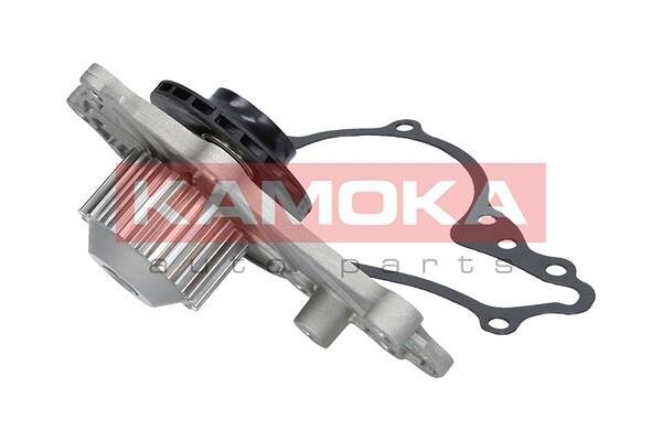 Pumpa za vodu T0081 - Citroen Berlingo 05-