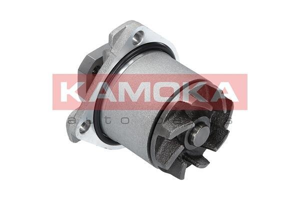 Pumpa za vodu T0138 - Ford Galaxy 95-06