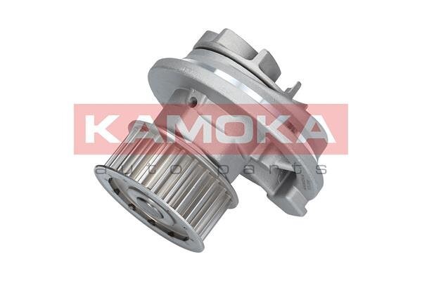 Pumpa za vodu T0069 - Chevrolet Captiva 06-