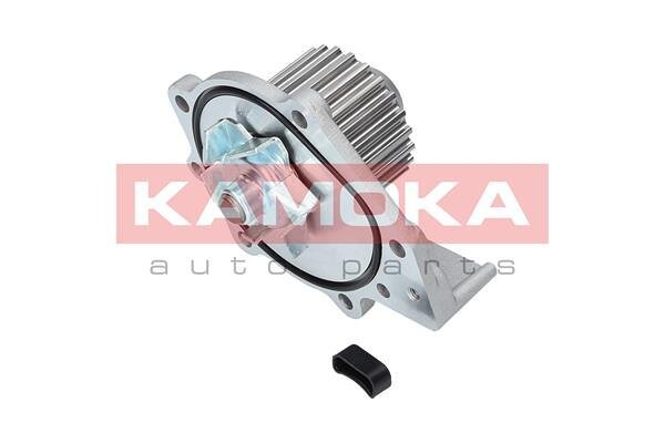 Pumpa za vodu T0174 - Land Rover Freelander 89-06