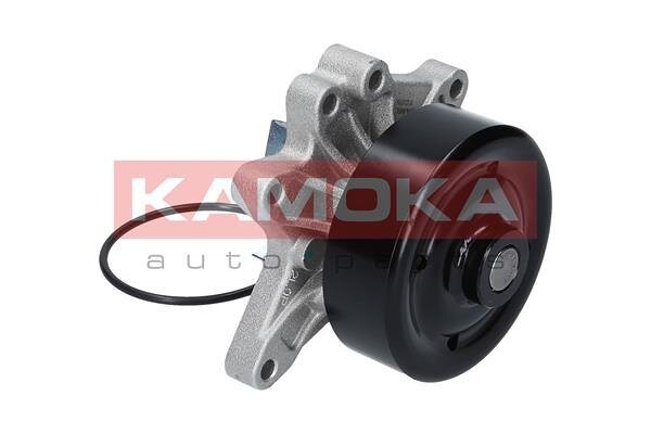 Pumpa za vodu T0263 - Toyota Auris 07-12