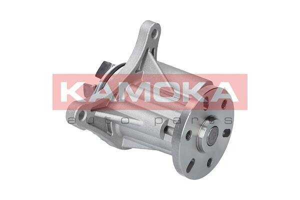 Pumpa za vodu T0251 - Citroen C5 III 08-