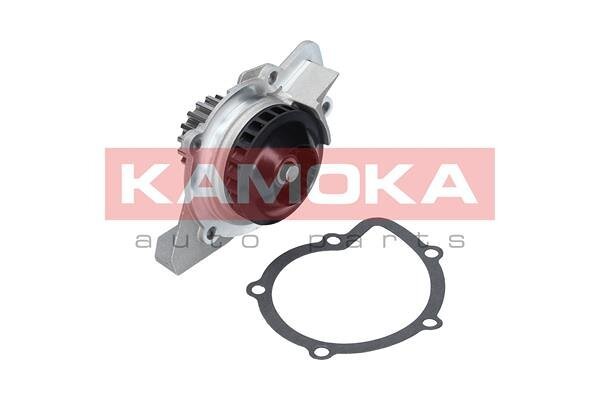 Pumpa za vodu T0092 - Citroen C4 09-13