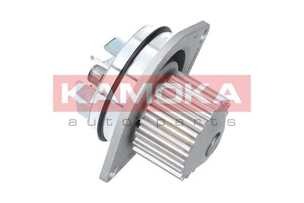 Pumpa za vodu T0080 - Citroen Berlingo 96-11