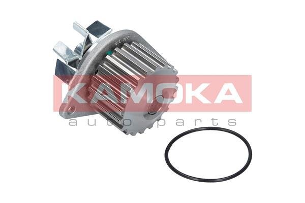 Pumpa za vodu T0078 - Citroen Ax 86-97