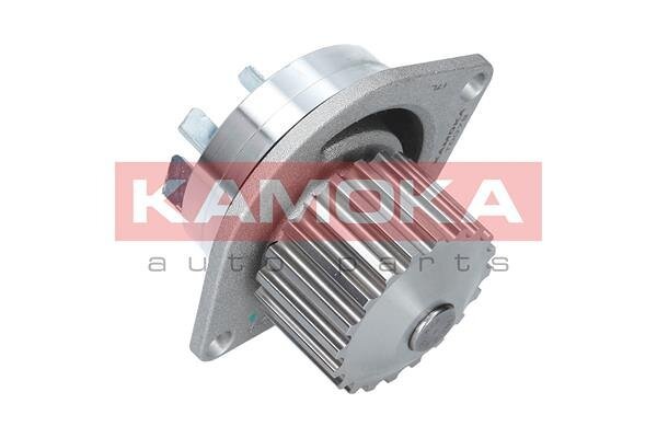 Pumpa za vodu T0079 - Citroen Ax 97-97