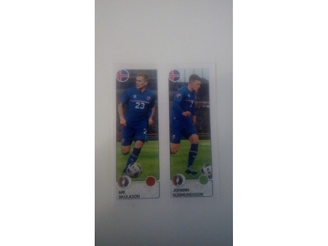 Panini EURO 2016 sličica broj 606