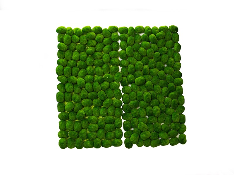 Zeleni zid 9