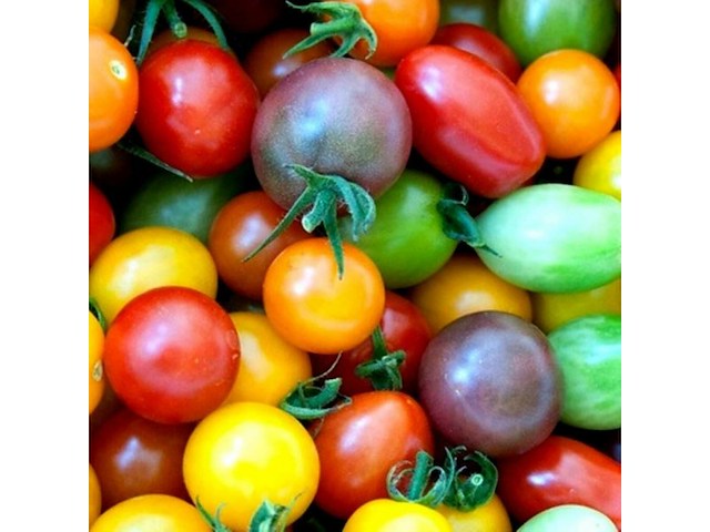HEIRLOOM CHERRY paradajz MIX (seme)