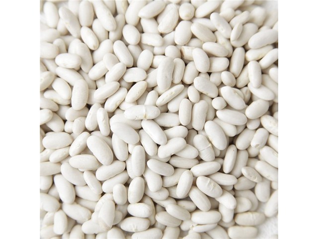 Beli pasulj (seme)
