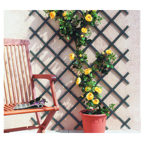 Merdevine Za Puzavice Trellis 50x150 cm