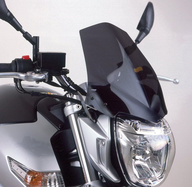 Vizir NAKED NG SUZUKI GSR600 06-11 4117F