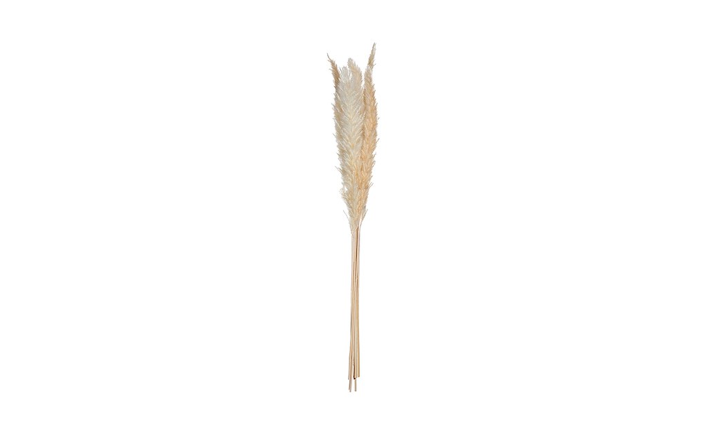 Dekorativna grana Pampas 65cm