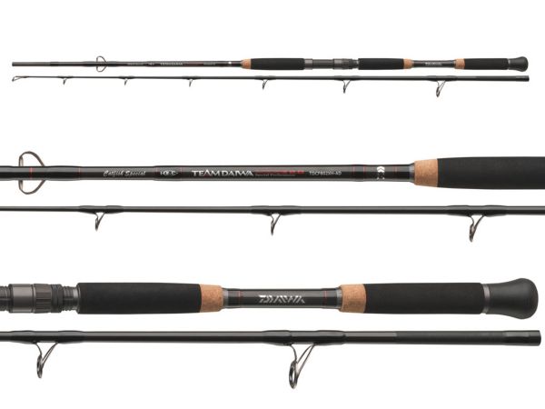 Stap Team Daiwa Mode 2.0 Catfish special 240cm 80-250gr