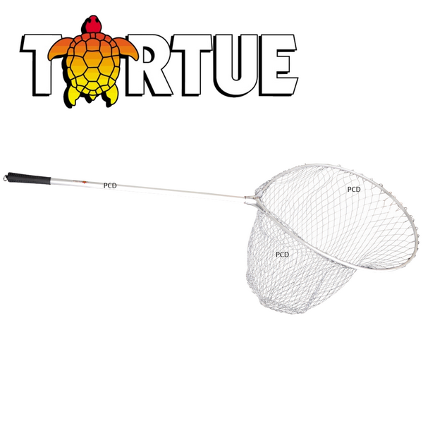 Meredov Tortue 1,60m