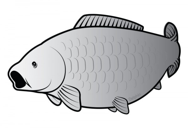 Nalepnica Carp sticker SILVER