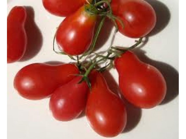 Cherry crvena kruska paradajz Heirloom (seme) - Ceri